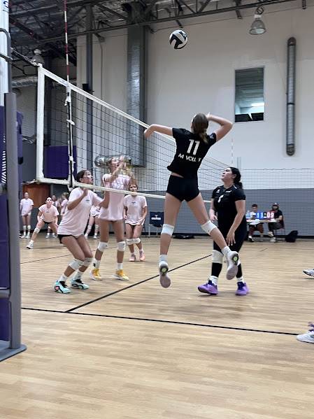 Sarah Johansson Volleyball Profile